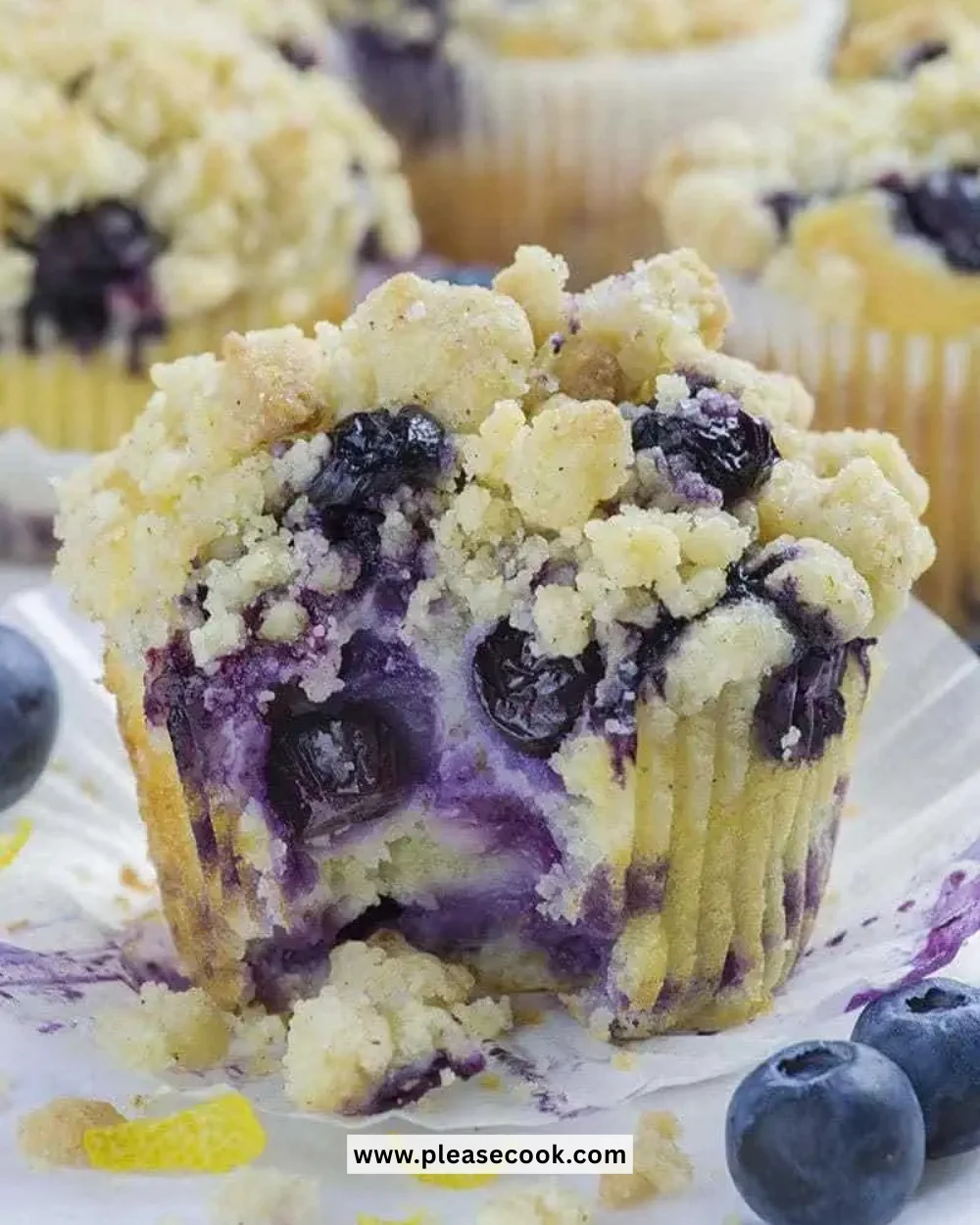 Lemon Blueberry Muffins